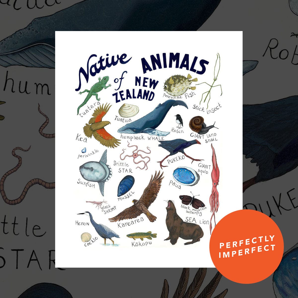 Native Animals of New Zealand (A3) - art print by Pia Davie (perfectly ...