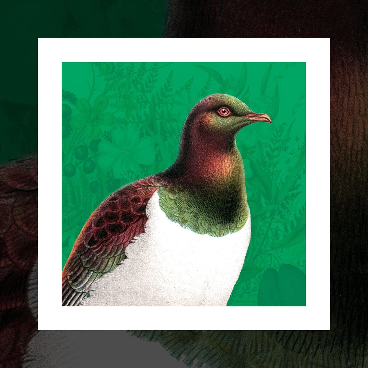 'Chromatic Kereru' art print – Fishmob - Iconic NZ art prints
