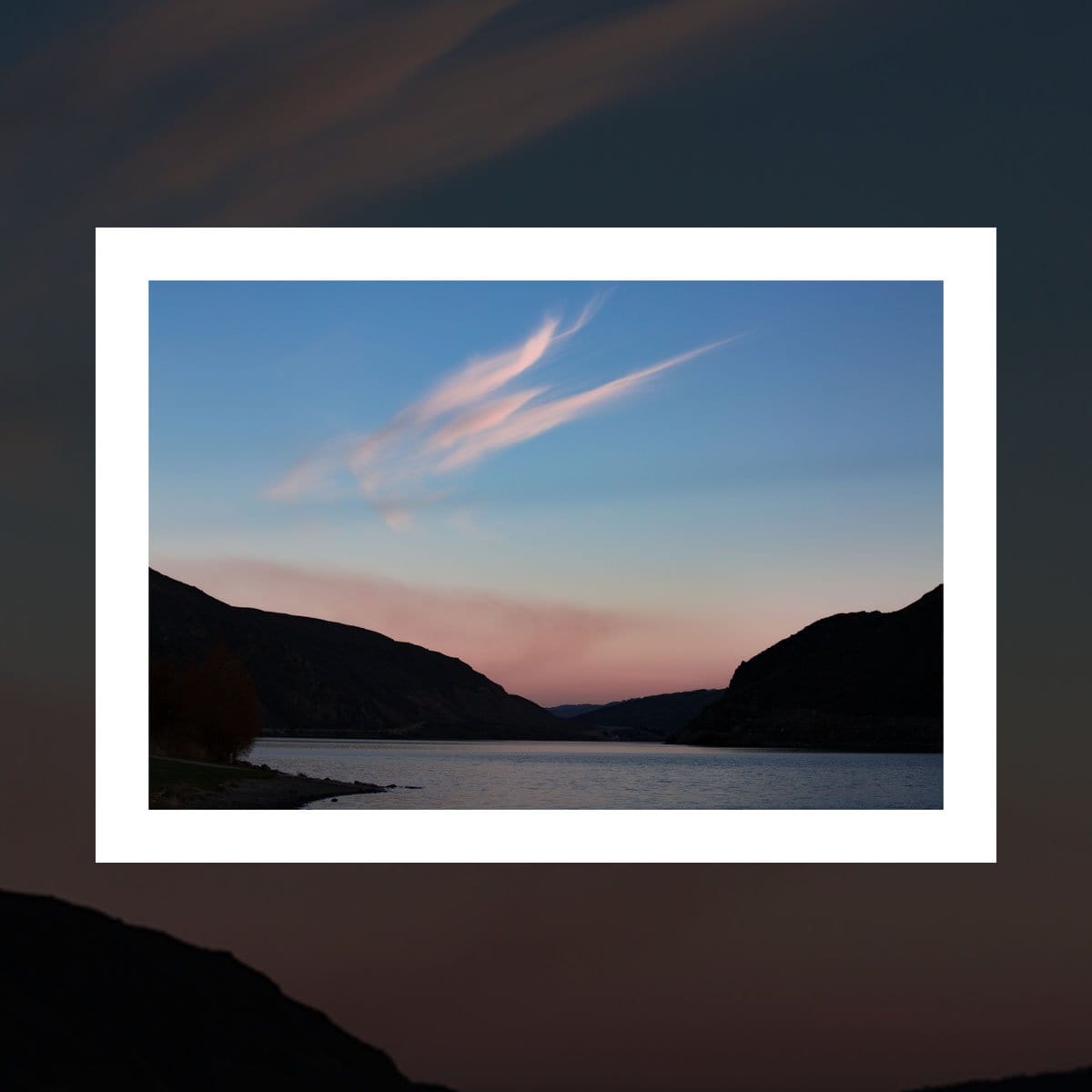 'Angel' art print by Christopher Hansen – Fishmob - Iconic NZ art prints